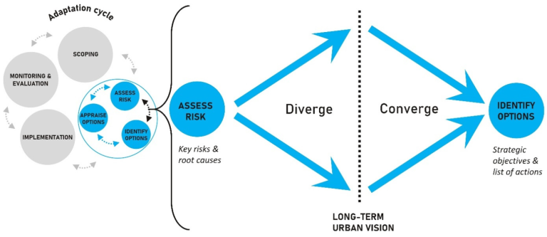 Climate adaptation in cities: from risk management to an ideal image - CAS